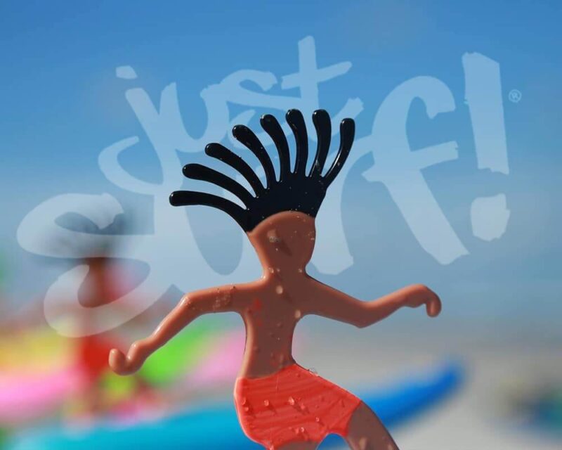 MS Design Graphics – Brand Development & WordPress Services